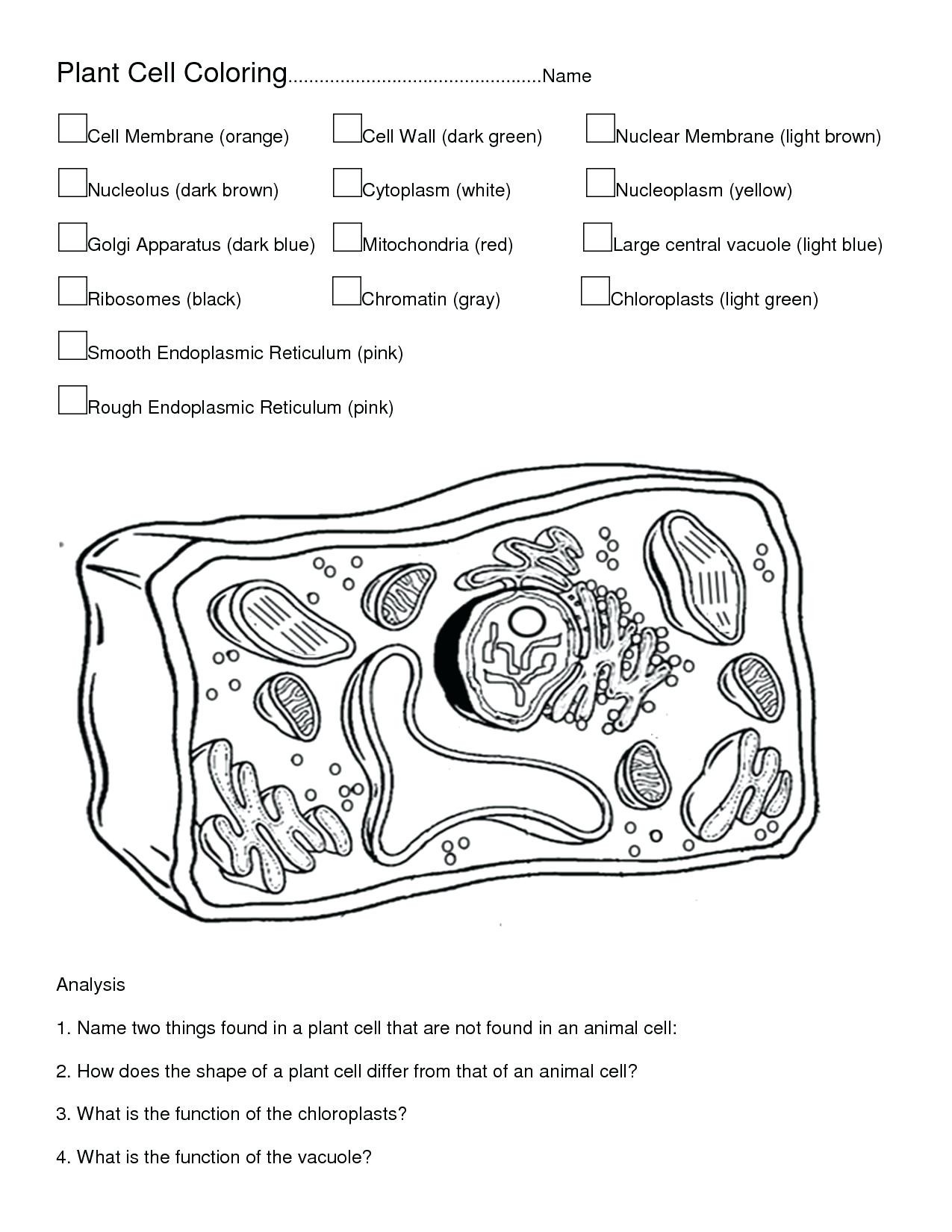 Animal Cell Coloring Worksheet BubaKids Animal Cell Coloring Worksheet BubaKids
