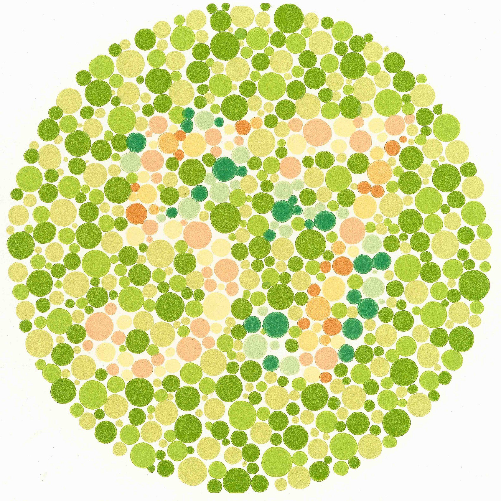 Color Blind Test Animals BubaKids Color Blind Test Animals BubaKids
